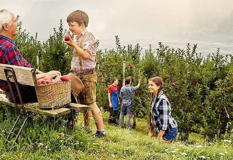 VOG Products: Ganzjährig zertifizierte Bio-Apfelprodukte aus einer ...